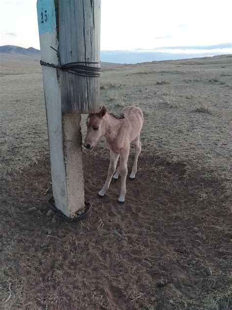 Амьдрал Амьдрал Added A New Photo