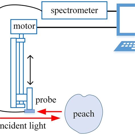 schematic of the setup for the spatially resolved diffuse reflectance
