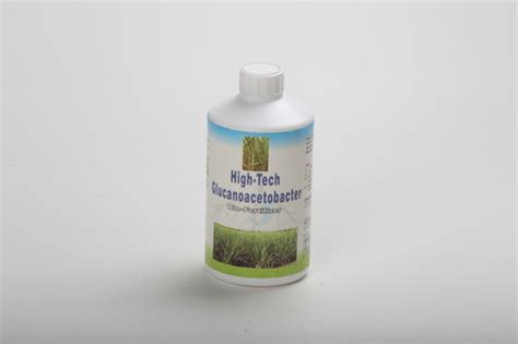 Glucanoacetobacter Liquid Biofertilizer At Best Price In Surat Gujarat Hi Tech Bio Agent