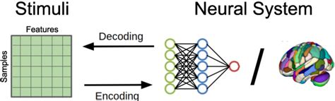 Metric Learning Encoding Models Identify Processing Profiles Of Linguistic Features In Berts