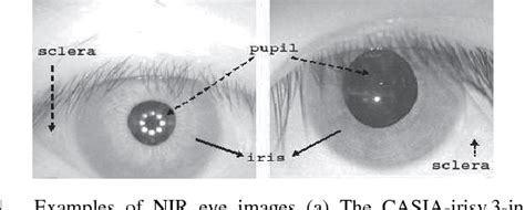 Figure 1 From Robust Iris Segmentation Based On Local Image Gradient
