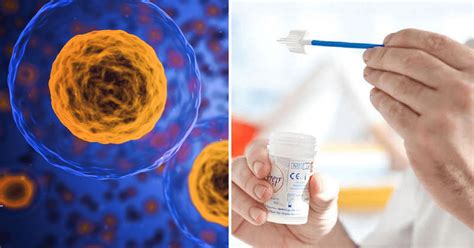 Šta Proučava Citologija