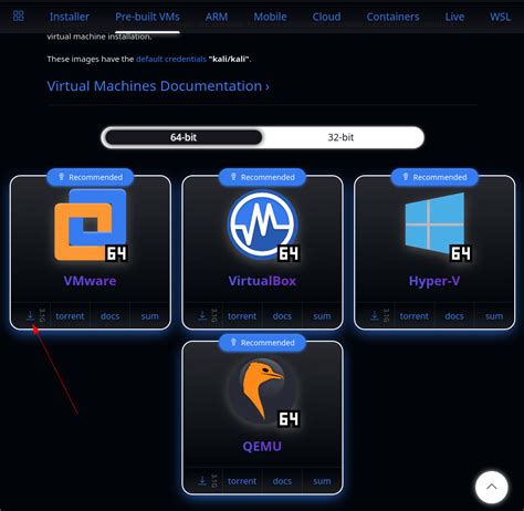Installation De Kali Linux Sur Vmware Workstation Oleks It Blog