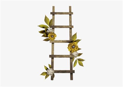 Cute Ladders 3368133 Clipart Library