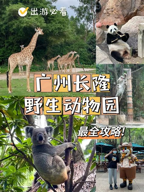 超实用广东广州旅游攻略 知乎