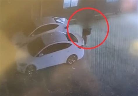 차 털려고 문 열었더니 그 안에 형사50대 절도범 구속송치 파이낸셜뉴스