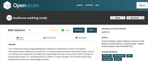 Chan Modality Showing Up In Eeg Dataset Issue Openneuroorg Openneuro Github