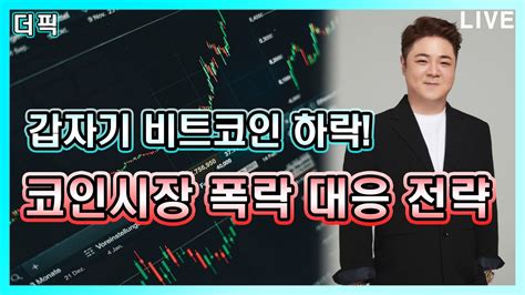 비트코인 하락 대응 전략 비트코인 알트코인 분석 Youtube