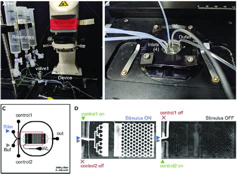 Microfluidics And Microscope Imaging Set Up A Reservoirs Are Held