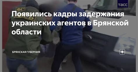 Появились кадры задержания украинских агентов в Брянской области Брянская губерния Дзен