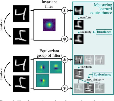 Figure 1 From What Affects Learned Equivariance In Deep Image Recognition Models Semantic Scholar