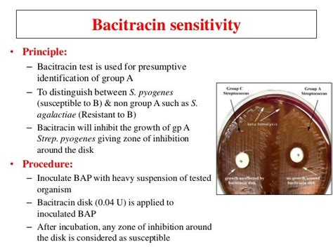 Streptococcusبكتريا عملي