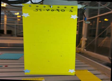 Insects Detection Object Detection Dataset By Yolo Training Model