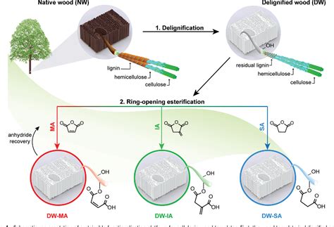 Figure 1 From Interface Tailoring By A Versatile Functionalization Platform For Nanostructured