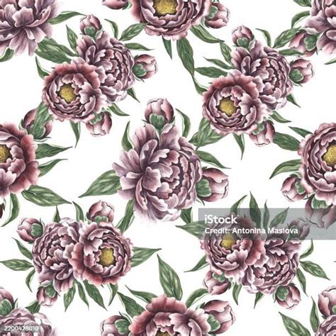 보라색 모란과 완벽 한 꽃 패턴 수제 수채화 그림 빈티지 스타일의 컬러 이미지 직물 벽지 및 포장지용 라벨 포장 인쇄용 0명에 대한 스톡 벡터 아트 및 기타 이미지 Istock