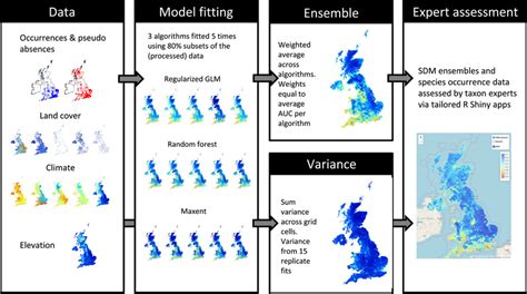 Species Distribution Modelling And Assessment Workflow See The Download Scientific Diagram