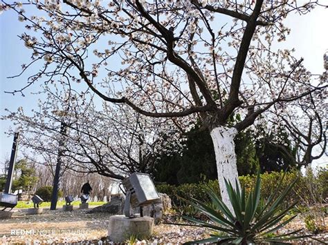 Đánh giá hiệu năng Redmi Note Turbo AnTuTu Benchmark