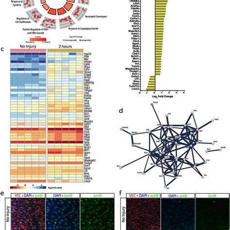 Transcriptomic Analysis Identifies Unique Transcriptional Signatures