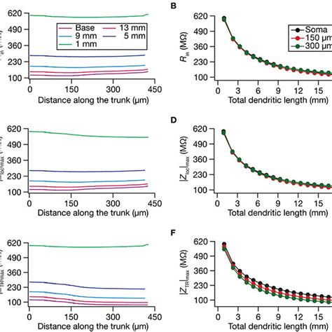 Steady State And Frequency Dependent Measures Of Excitability Increased Download Scientific