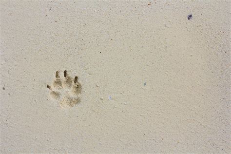 Diy 개념 검은색 게시 됨 공예 관념적인 단순한 대조 독창성 독특한 디자인 미니멀리스트 미니멀리즘 배경