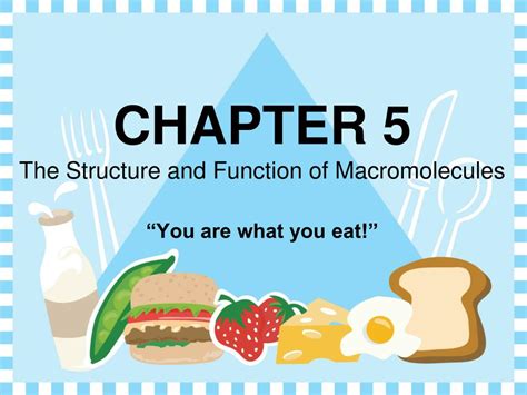Ppt Chapter 5 The Structure And Function Of Macromolecules Powerpoint Presentation Id 6702530