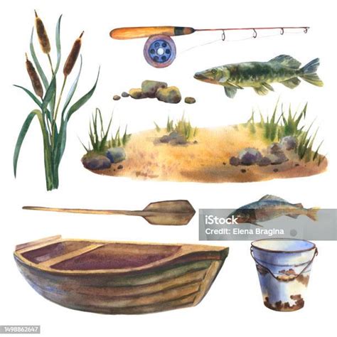 수채화 그림 낚시 세트 나무 보트 물고기 잉어 외륜 파이크 낚싯대 농어와 돌 양동이와 갈대 디자이너 스크랩북 엽서 포장지 어부에 대한 스톡 벡터 아트 및 기타 이미지