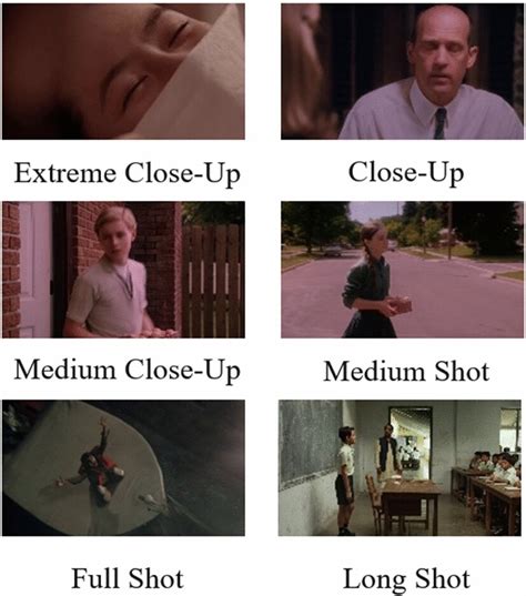 The Scale Types In Our Dataset Download Scientific Diagram
