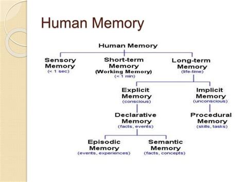 HCI Fundamentals Part 2 Human Memory And Thinking PPT