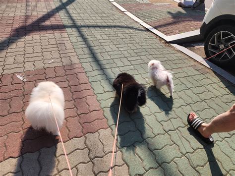 아침부터 빨래 2번 애들 산책 겸 장보다가 눈와서 양가 부모님께 전화드리고 이제 아침 먹었다 눈 많이오다 그쳤네 오늘 할일 끝 이제 나가지말자😵‍💫😵‍💫😵‍💫