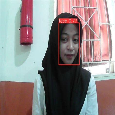Face Recognition Object Detection Dataset V1 2024 02 21 11 09pm By