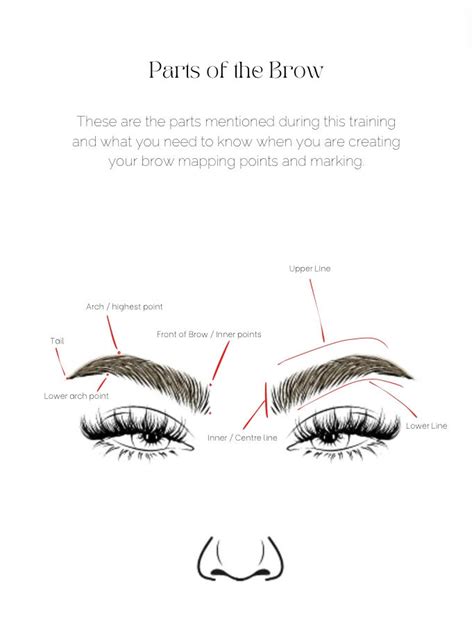 Brow Mapping Tutorial Lashes And Beauty