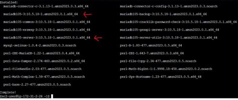 How To Install Mariadb On Amazon Linux 2023 Cloudkatha