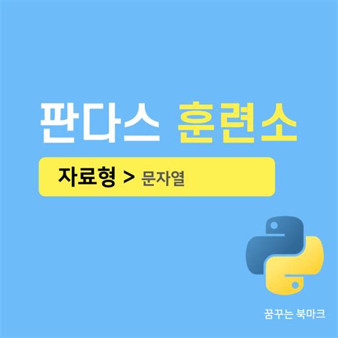 판다스를 위한 파이썬 필수 문법 3 자료형 문자열 네이버 블로그
