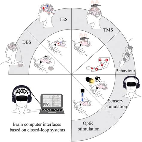 Driving Oscillatory Dynamics Neuromodulation For Recovery After Stroke Pmc