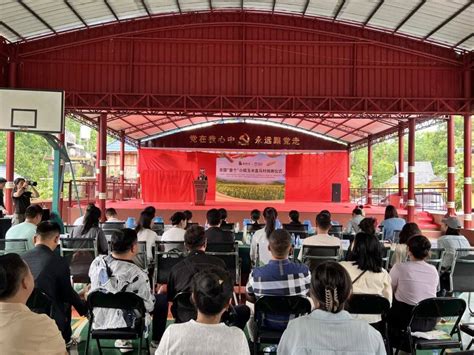 全国首个小糯玉米盒马村揭牌成立种植发展农业