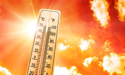 Urgente Concientizar Sobre Los Peligros Y Efectos Del Calor Extremo