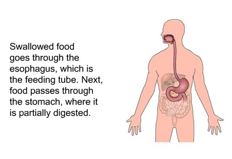 Malabsorption Syndromes