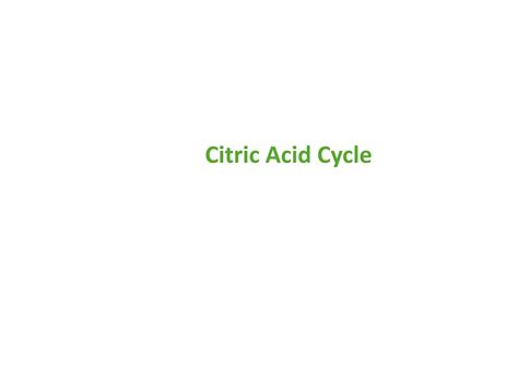 Tca Cycle Citric Acid Cycle Krebs Cycle Pptx