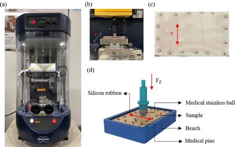 The Friction Test Setup And The Experiment Sample A Umt Tribometer B Download Scientific