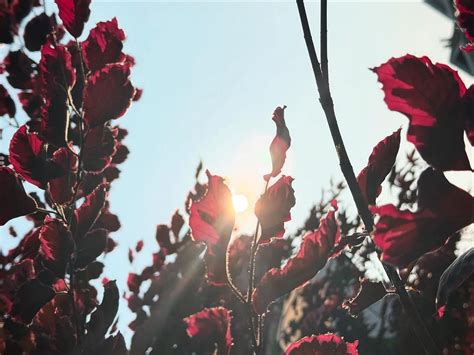 Opentelemetry For Java No Code Vs Code Based Instrumentation With Dynatrace Integration By