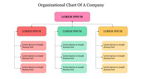 Best Organizational Chart Of A Company Slide