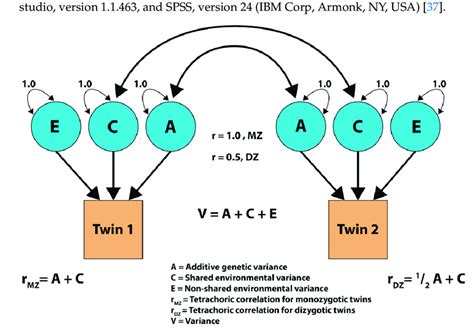 Graphical Explanation Of The Ace Statistical Model Download Scientific Diagram