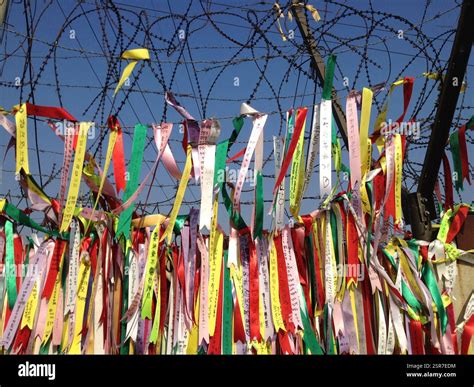 Barbed Wire Fence Adorned With Colorful Ribbons Tied To It Many Of The