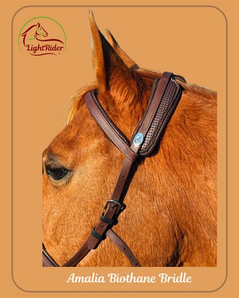 Lightrider Amalia Biothane Bitless Bridle Natural Horse World