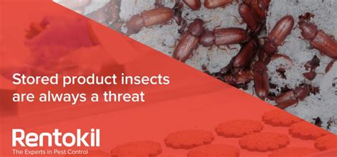 Fumigation Guide For Exporters Debugged