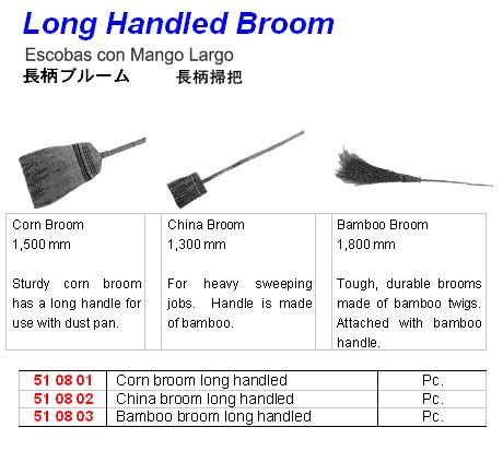 Long Handled Broom