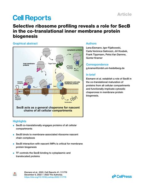 Pdf Selective Ribosome Profiling Reveals A Role For Secb In The Co