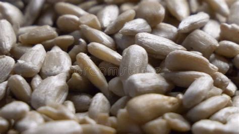 A Highly Detailed Neural Network 4k Stock Video Video Of Mind Human 115723263