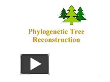Phylogenetic Tree Reconstruction Presentation Free To View