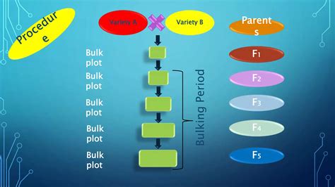 Bulk Breeding Method Pptx Bulk Breeding Method Pptx